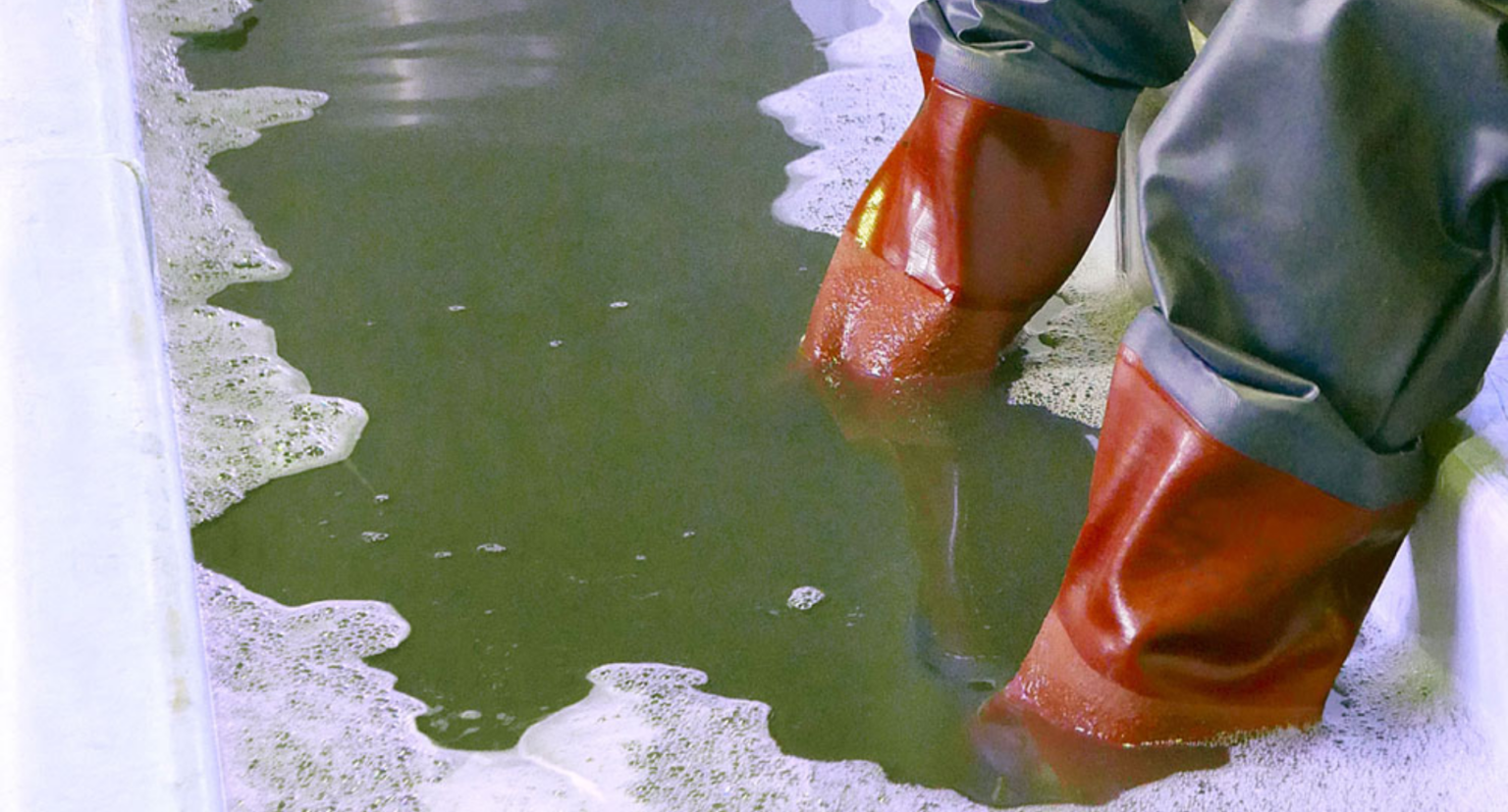 5 Steps To Successful Anodizing Process | Zemetal